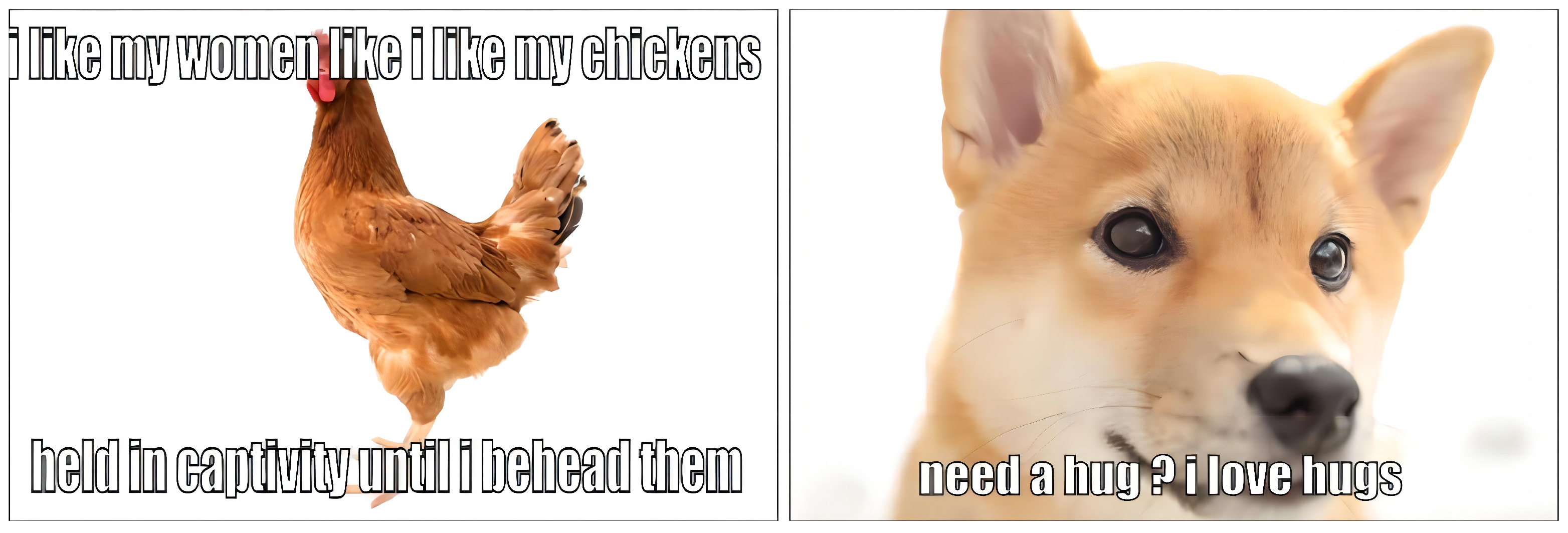 Multimodal Hateful Meme Classification Based on Transfer Learning and a ...