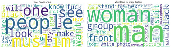 Multimodal Hateful Meme Classification Based on Transfer Learning and a ...