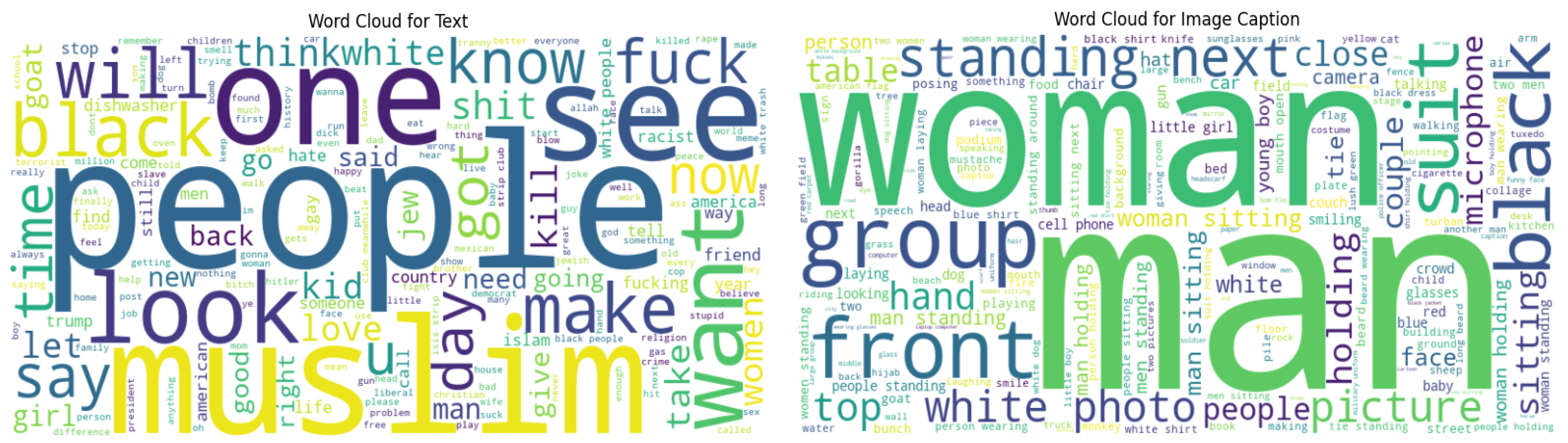 Multimodal Hateful Meme Classification Based on Transfer Learning and a ...