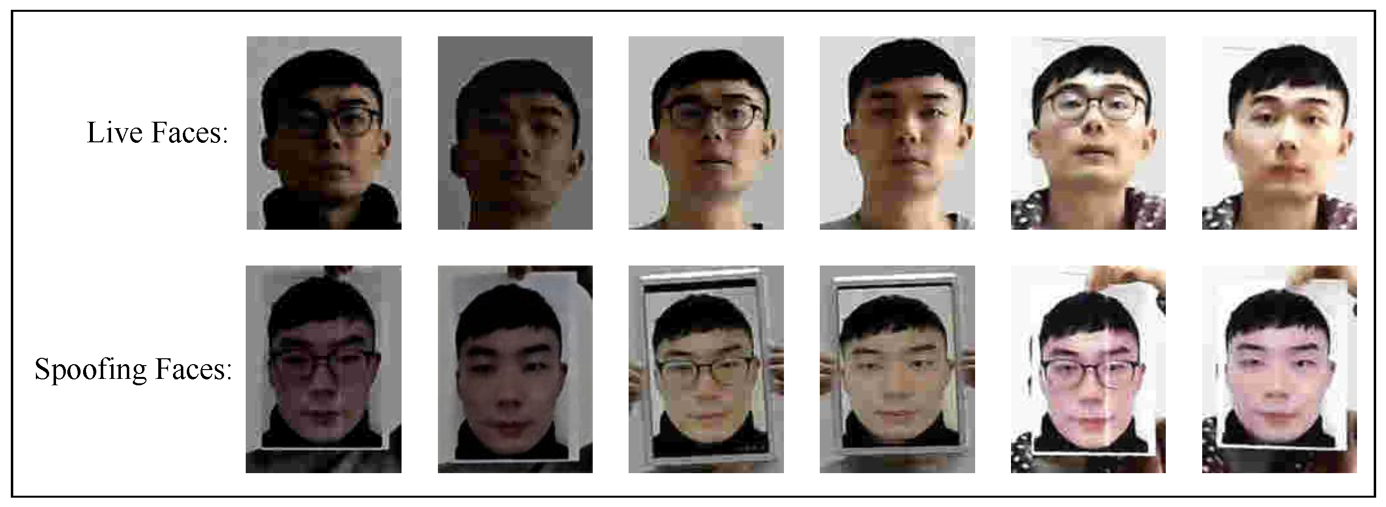 A MobileFaceNet-Based Face Anti-Spoofing Algorithm for Low-Quality Images