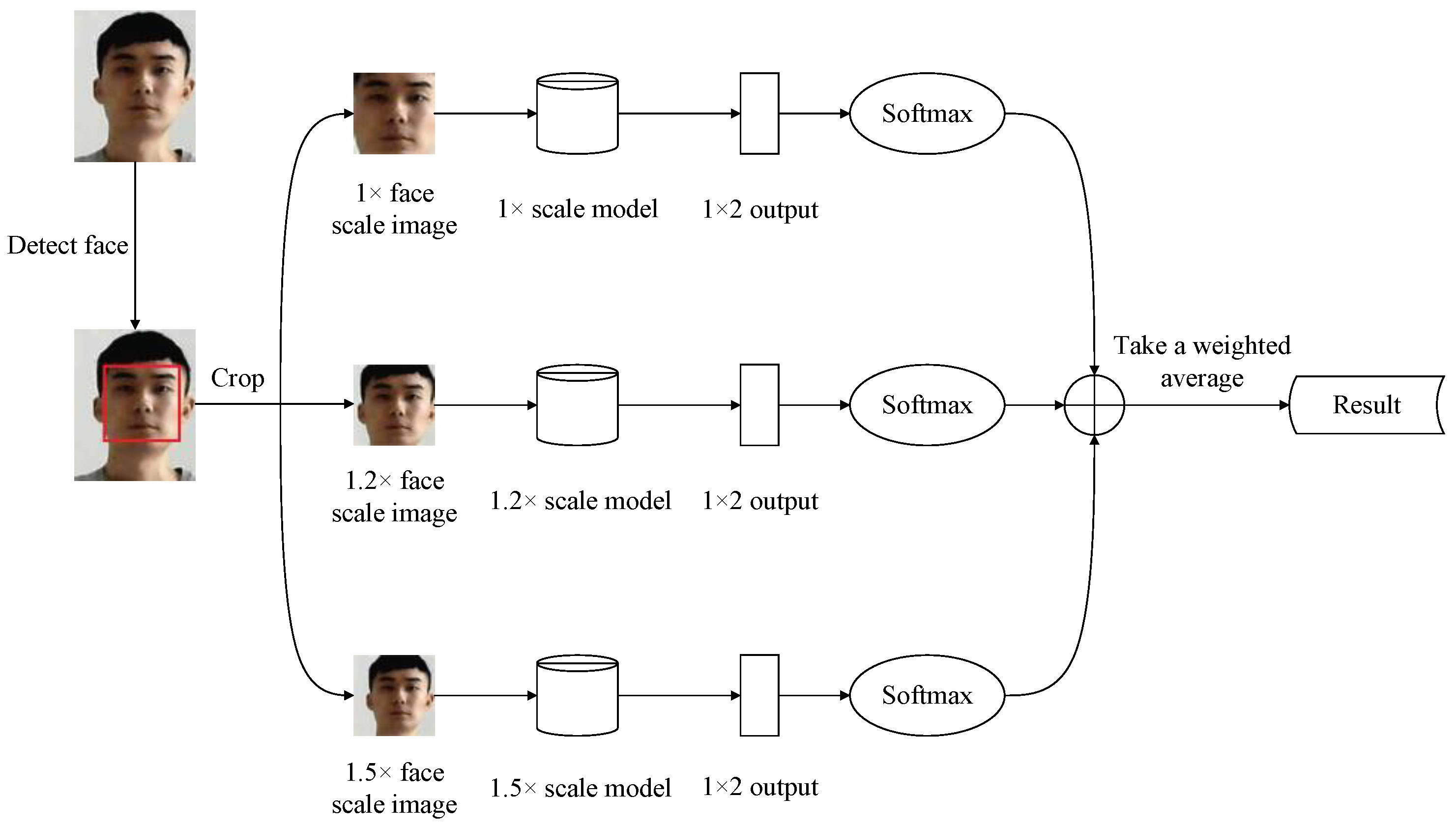 A MobileFaceNet-Based Face Anti-Spoofing Algorithm for Low-Quality Images