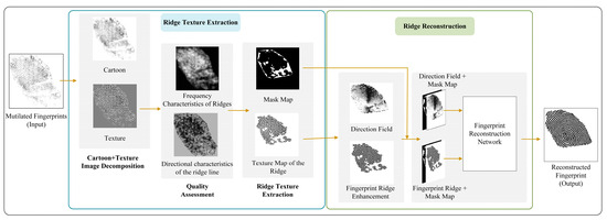 Recovery of Incomplete Fingerprints Based on Ridge Texture and ...