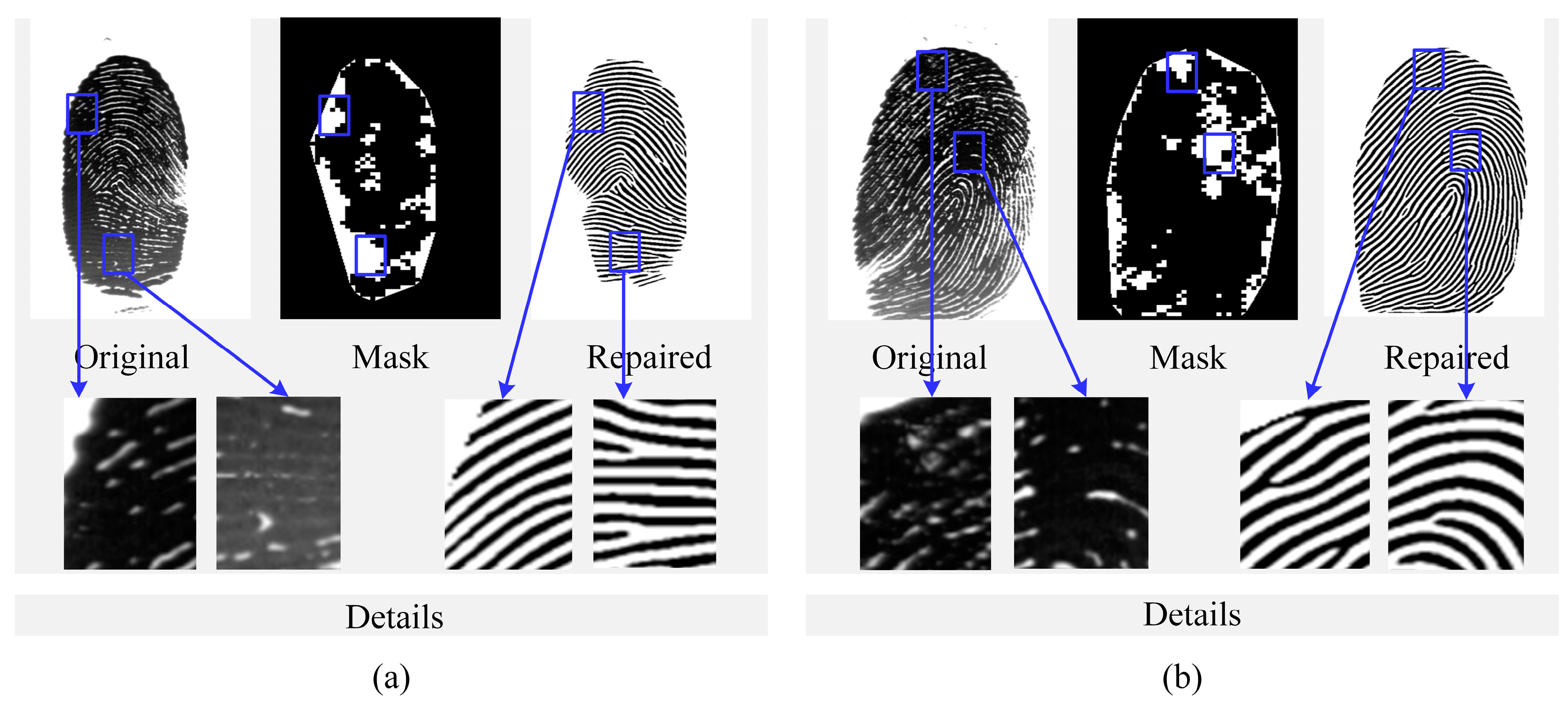 Recovery of Incomplete Fingerprints Based on Ridge Texture and Orientation Field