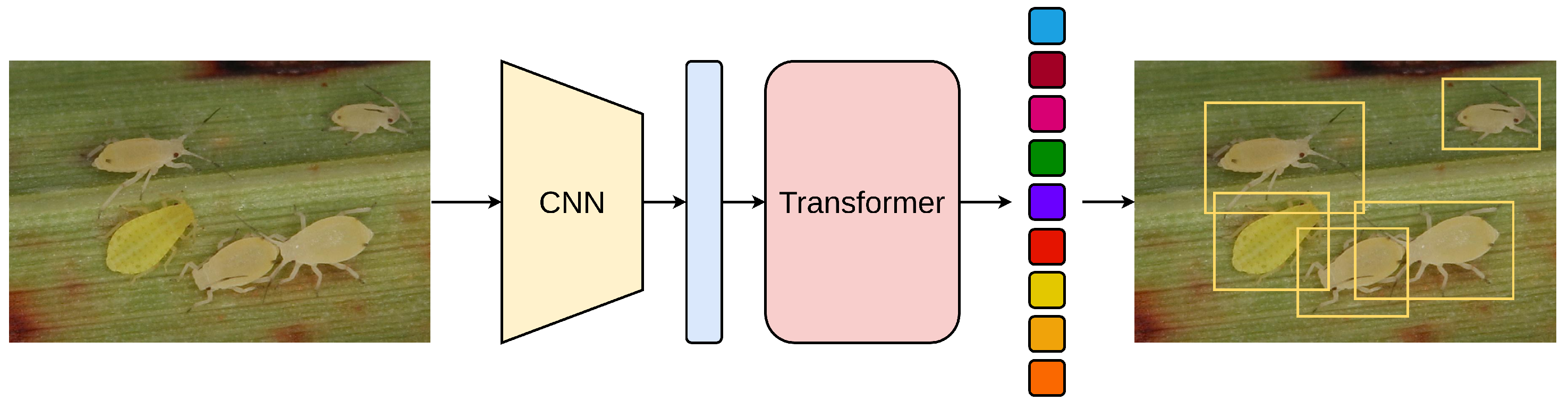 Overview of Pest Detection and Recognition Algorithms