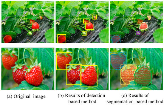 StrawSnake: A Real-Time Strawberry Instance Segmentation Network Based on the Contour Learning ...