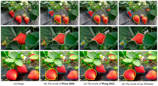 StrawSnake: A Real-Time Strawberry Instance Segmentation Network Based on the Contour Learning ...