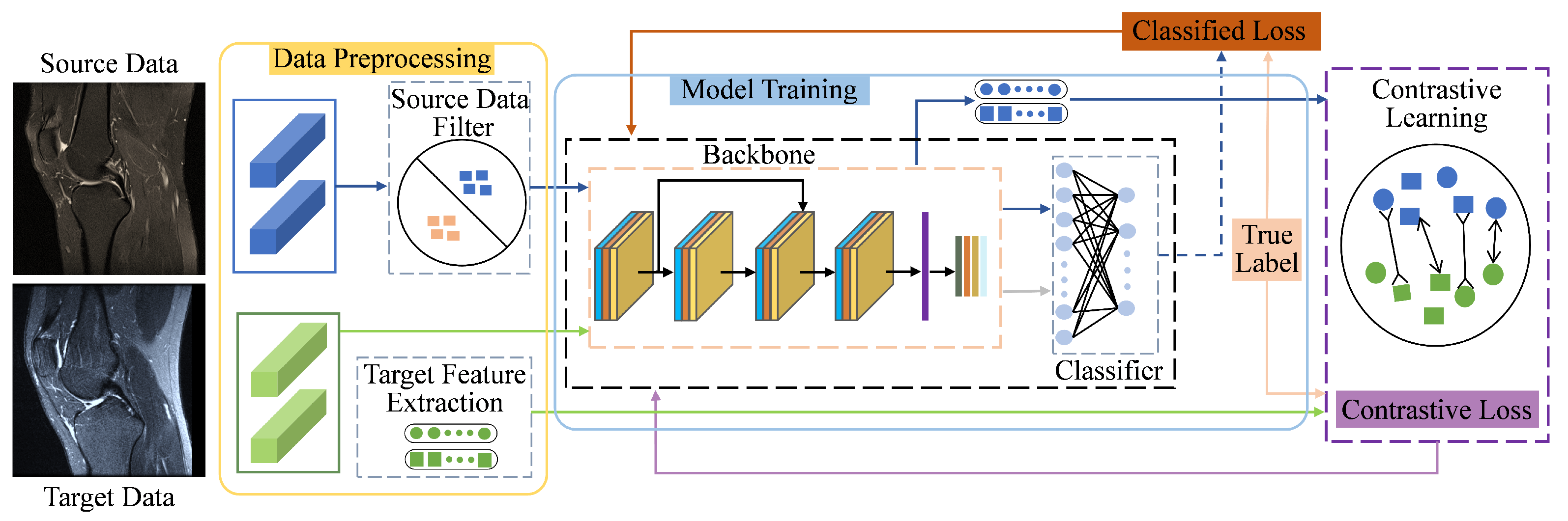 Domain-Adaptive Framework for ACL Injury Diagnosis Utilizing Contrastive Learning Techniques