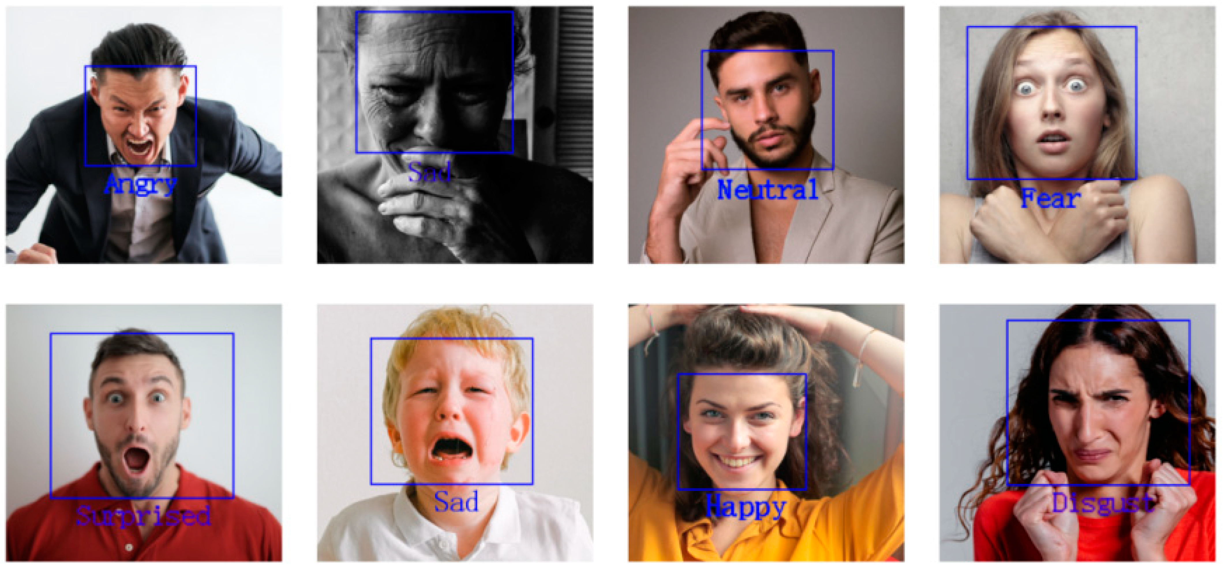 RS-Xception: A Lightweight Network for Facial Expression Recognition