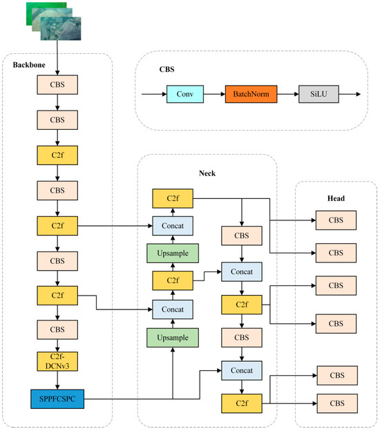 Underwater Robot Target Detection Algorithm Based on YOLOv8
