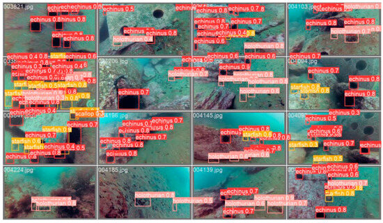 Underwater Robot Target Detection Algorithm Based on YOLOv8