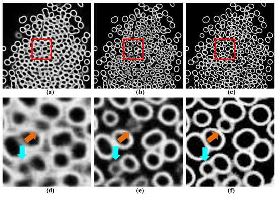 Regionally Adaptive Active Learning Framework for Nuclear Segmentation ...