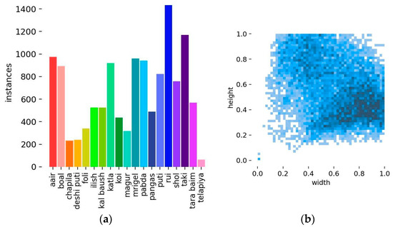 HRA-YOLO: An Effective Detection Model for Underwater Fish