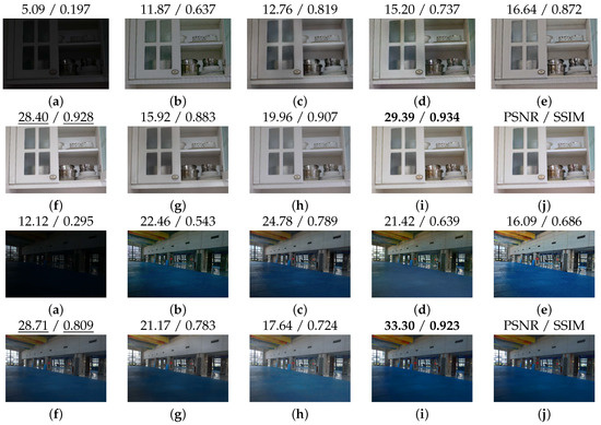 Low-Light Image Enhancement via Dual Information-Based Networks