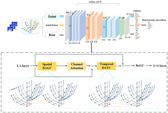 Spatio-Temporal Dynamic Attention Graph Convolutional Network Based on Skeleton Gesture Recognition