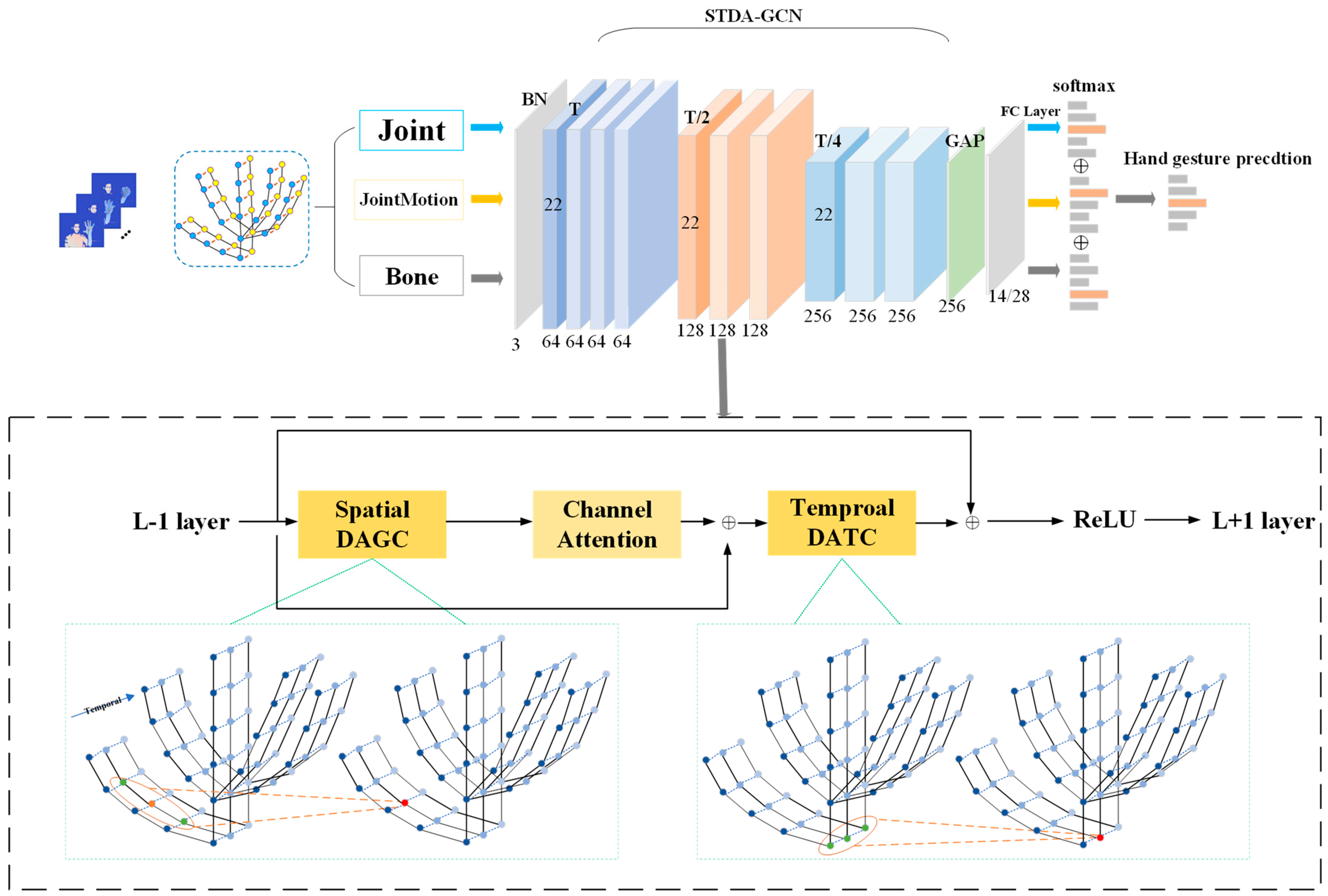 Spatio-Temporal Dynamic Attention Graph Convolutional Network Based on Skeleton Gesture Recognition