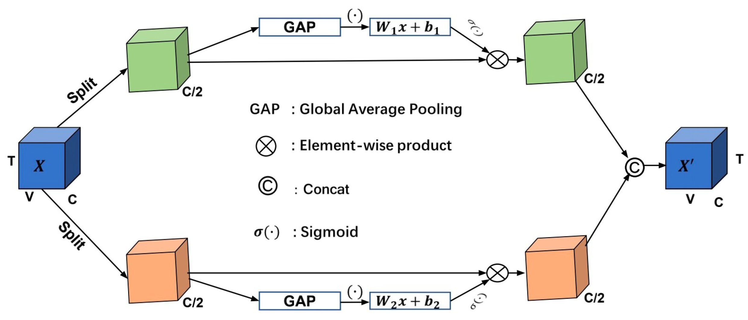 Attention-Guided and Topology-Enhanced Shift Graph Convolutional Network for Skeleton-Based ...