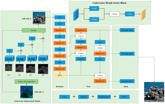 FishDet-YOLO: Enhanced Underwater Fish Detection with Richer Gradient Flow and Long-Range ...