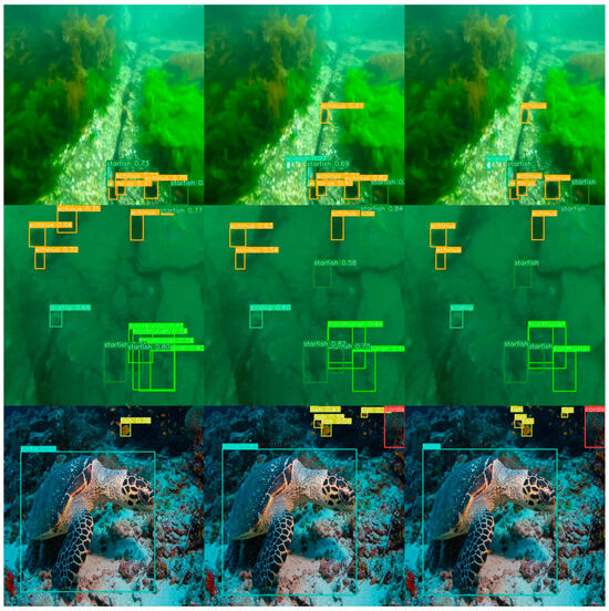 FishDet-YOLO: Enhanced Underwater Fish Detection with Richer Gradient Flow and Long-Range ...