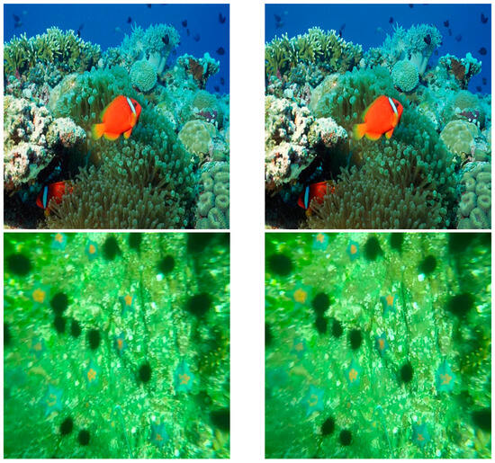 FishDet-YOLO: Enhanced Underwater Fish Detection with Richer Gradient Flow and Long-Range ...