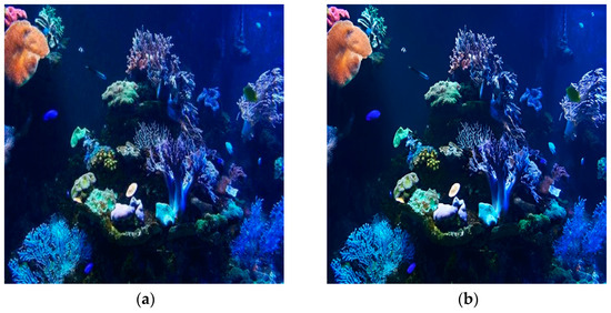 FishDet-YOLO: Enhanced Underwater Fish Detection with Richer Gradient ...