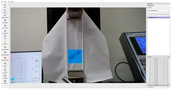 Efficient Fabric Classification and Object Detection Using YOLOv10