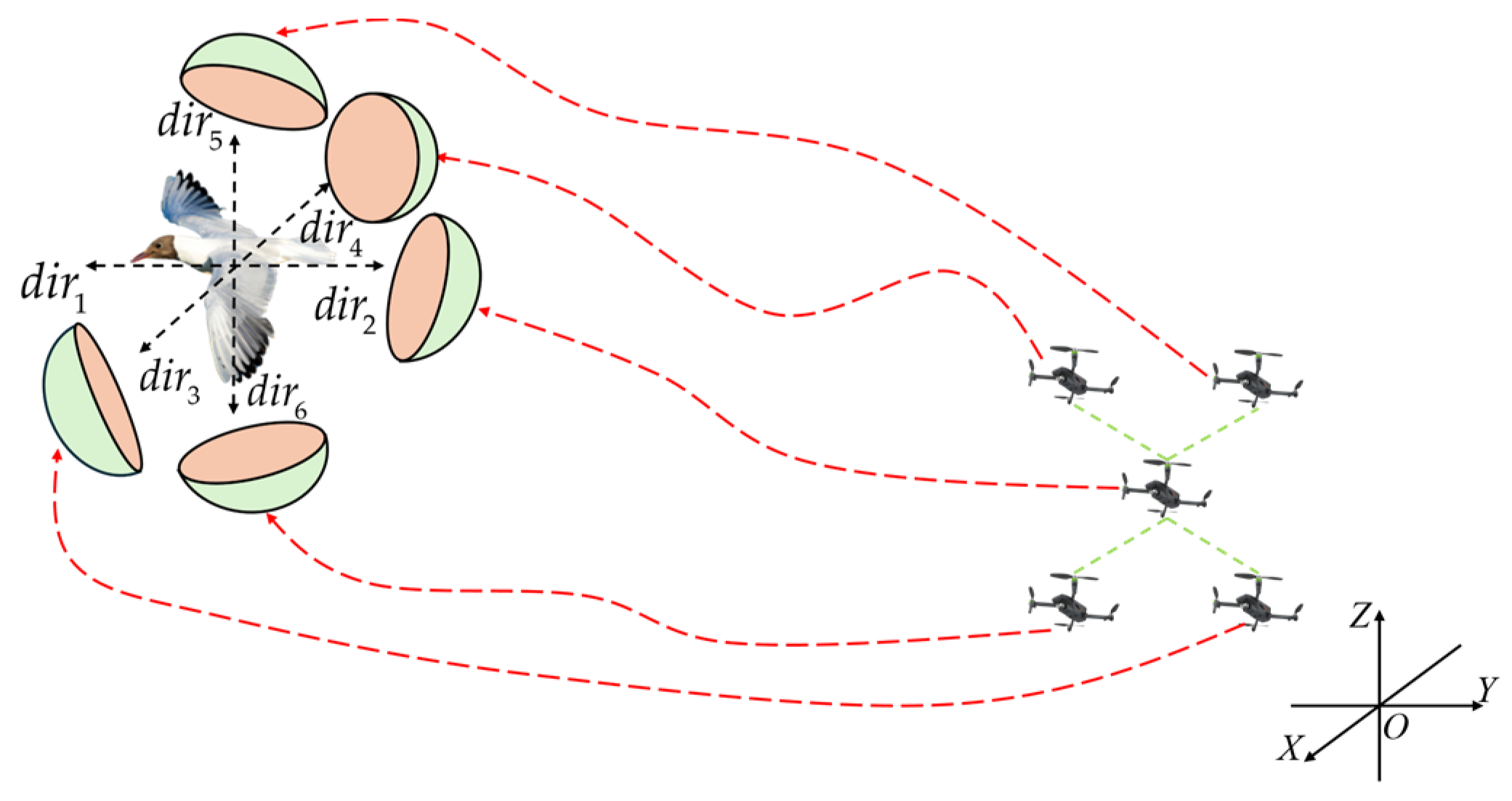 Target Trajectory Prediction-Based UAV Swarm Cooperative for Bird-Driving Strategy at Airport