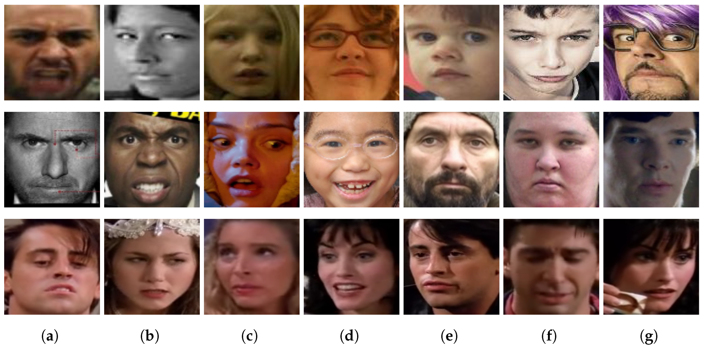 A New Joint Training Method for Facial Expression Recognition with ...