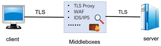 Challenges and Advances in Analyzing TLS 1.3-Encrypted Traffic: A Comprehensive Survey