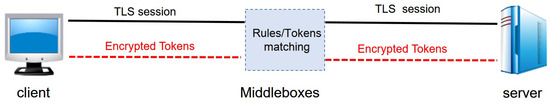 Challenges and Advances in Analyzing TLS 1.3-Encrypted Traffic: A Comprehensive Survey