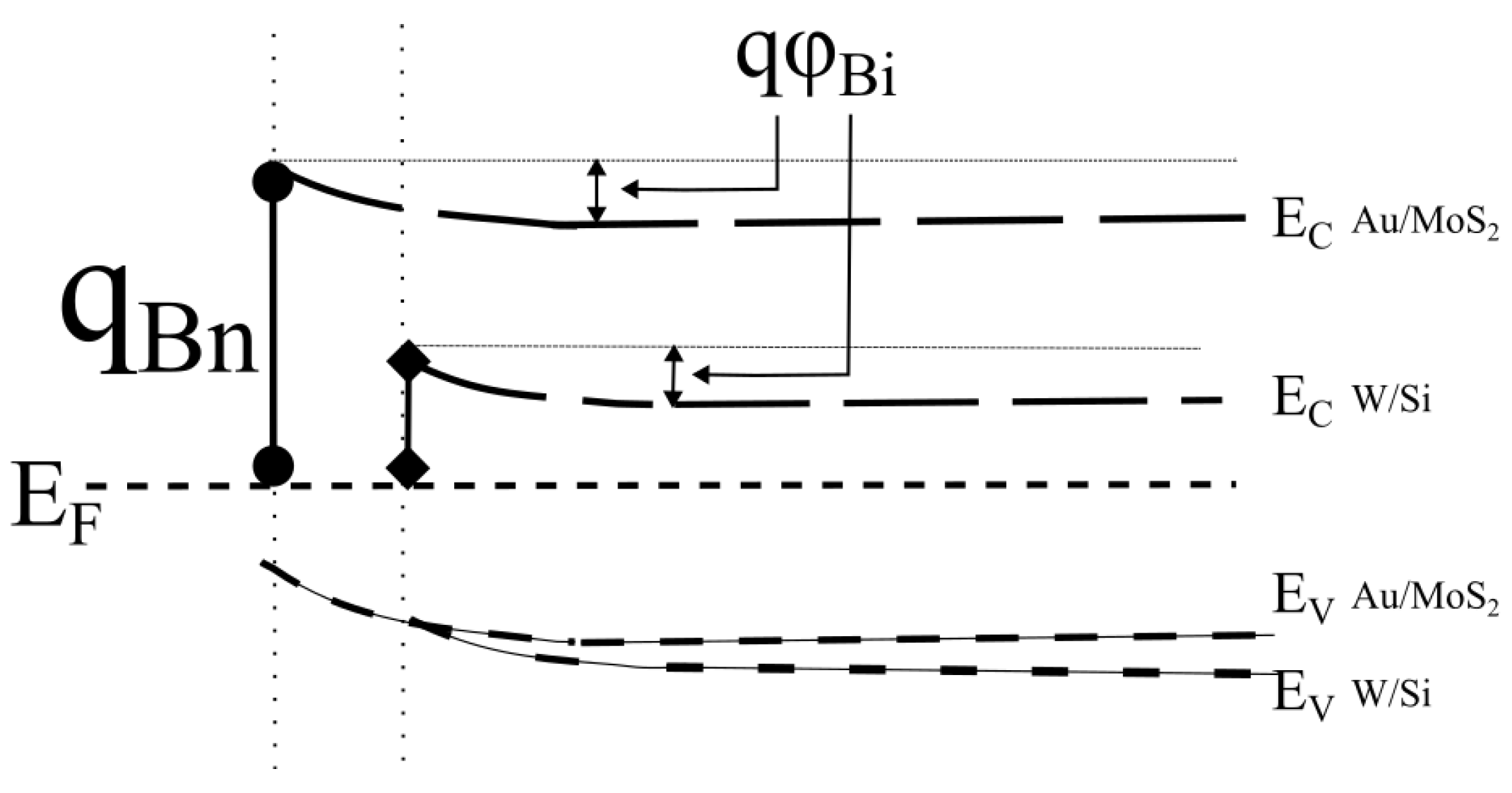 Electronic Barriers Behavioral Analysis of a Schottky Diode Structure Featuring Two-Dimensional MoS2