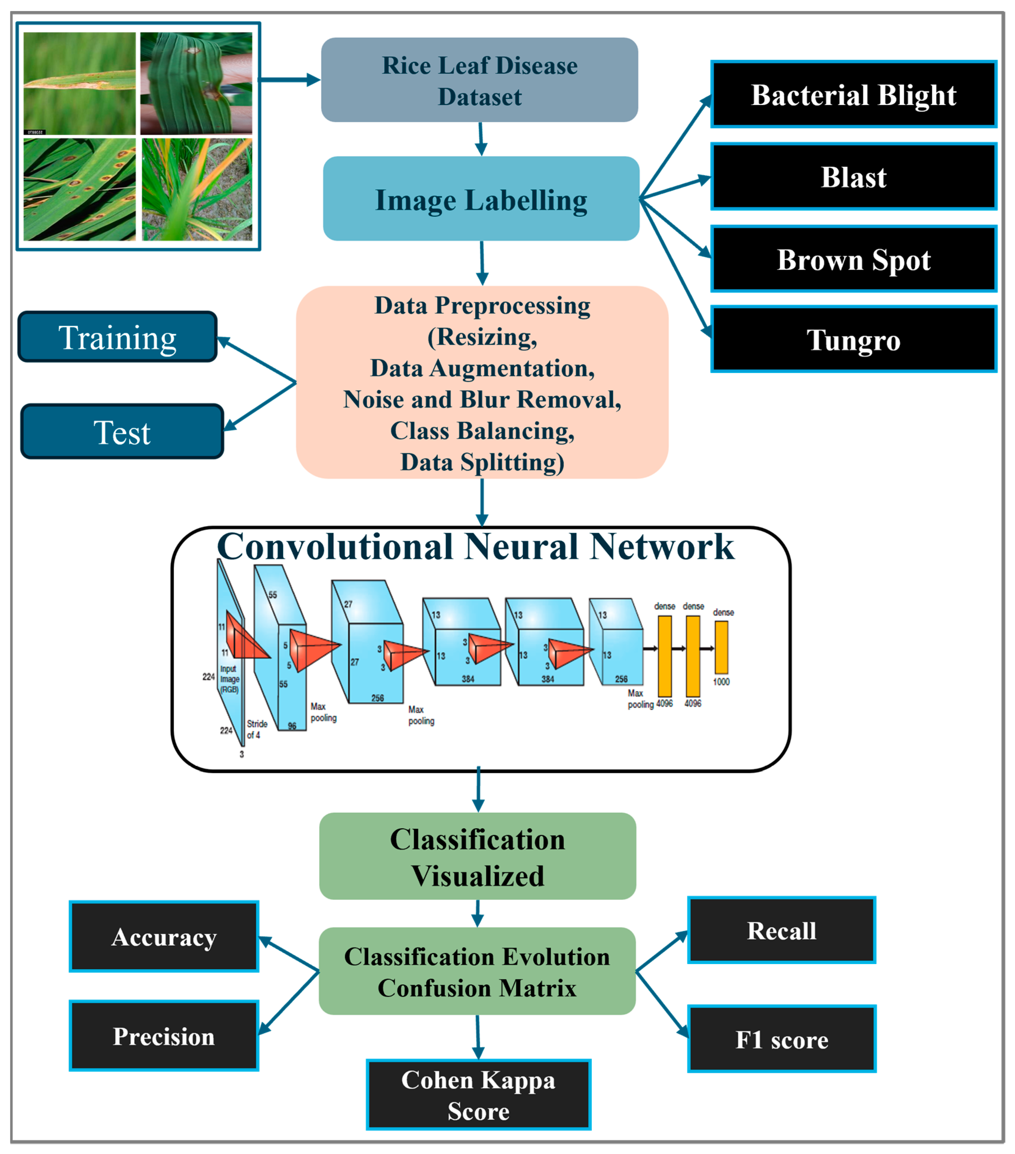 Utilizing Convolutional Neural Networks for the Effective Classification of Rice Leaf Diseases ...
