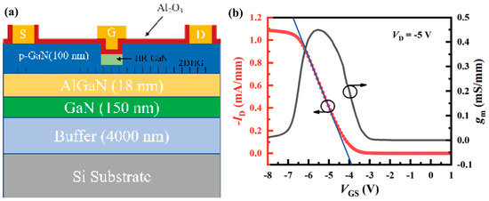Plasma Treatment Technologies for GaN Electronics
