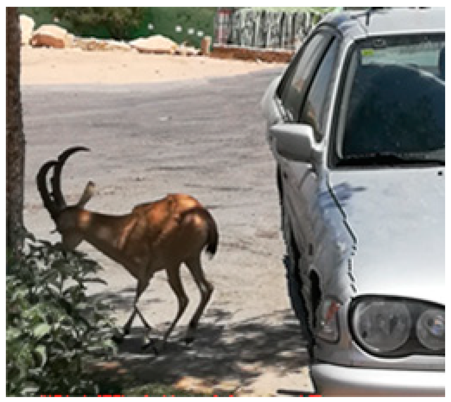 Directorial Editing: A Hybrid Deep-Learning Approach to Content-Aware ...