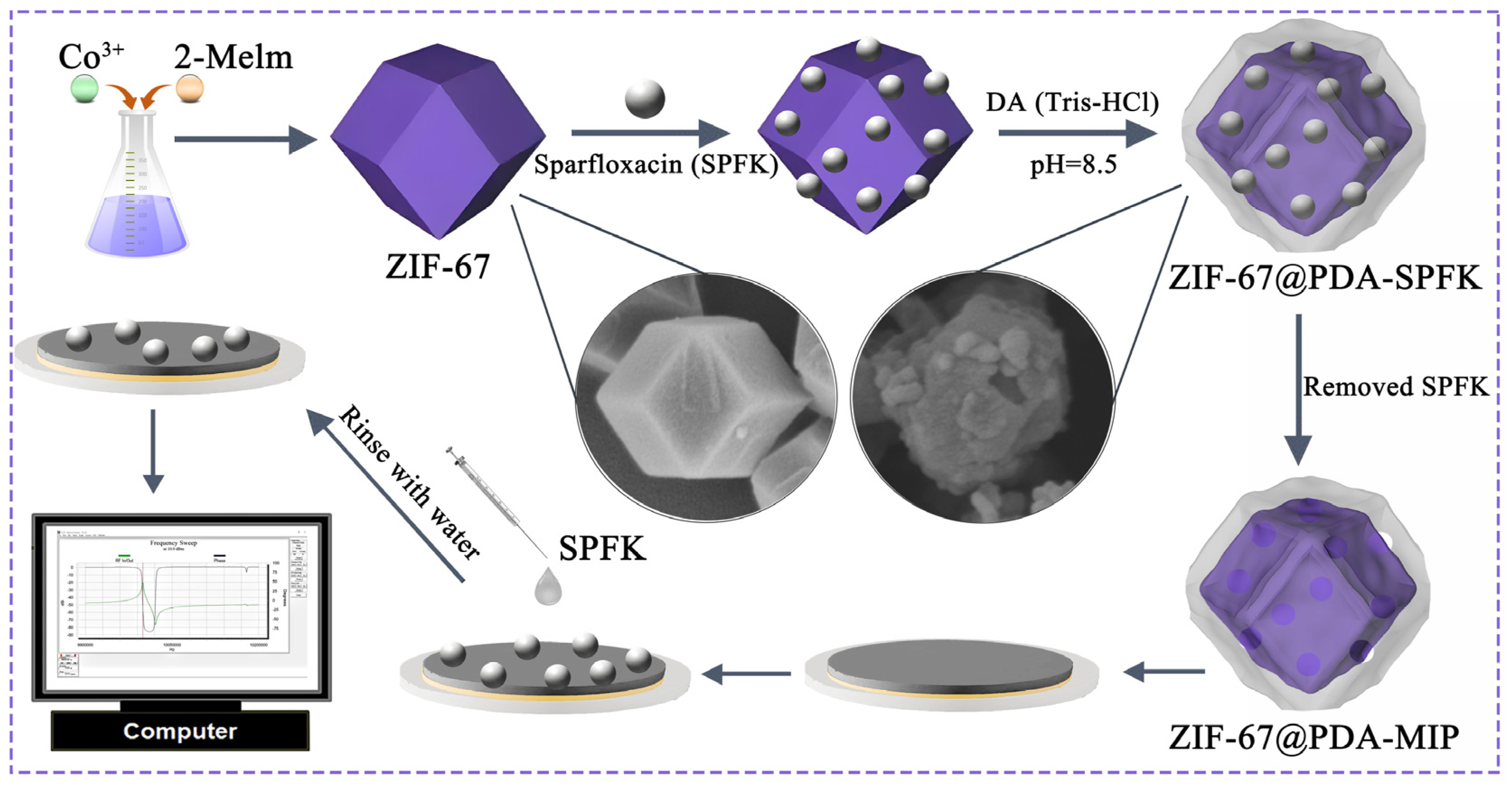 Molecularly Imprinted QCM Sensor Based on Hollow ZIF-67@PDA for Sparfloxacin Detection
