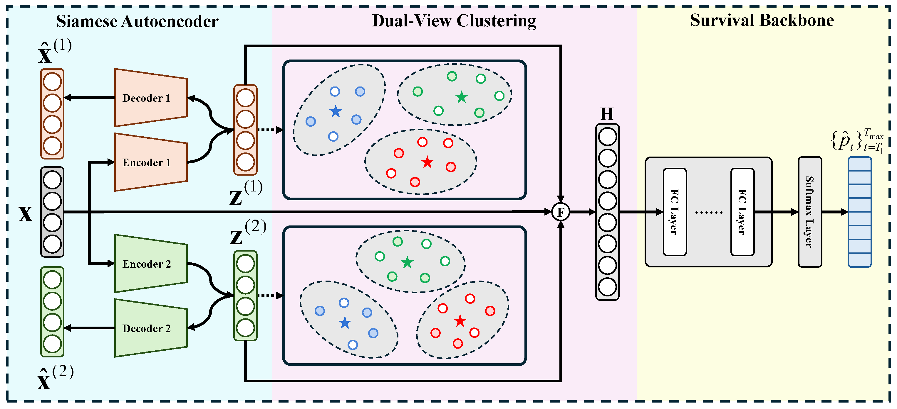 Deep Contrastive Survival Analysis with Dual-View Clustering