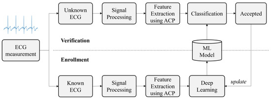 Electrocardiogram-Based Driver Authentication Using Autocorrelation and ...