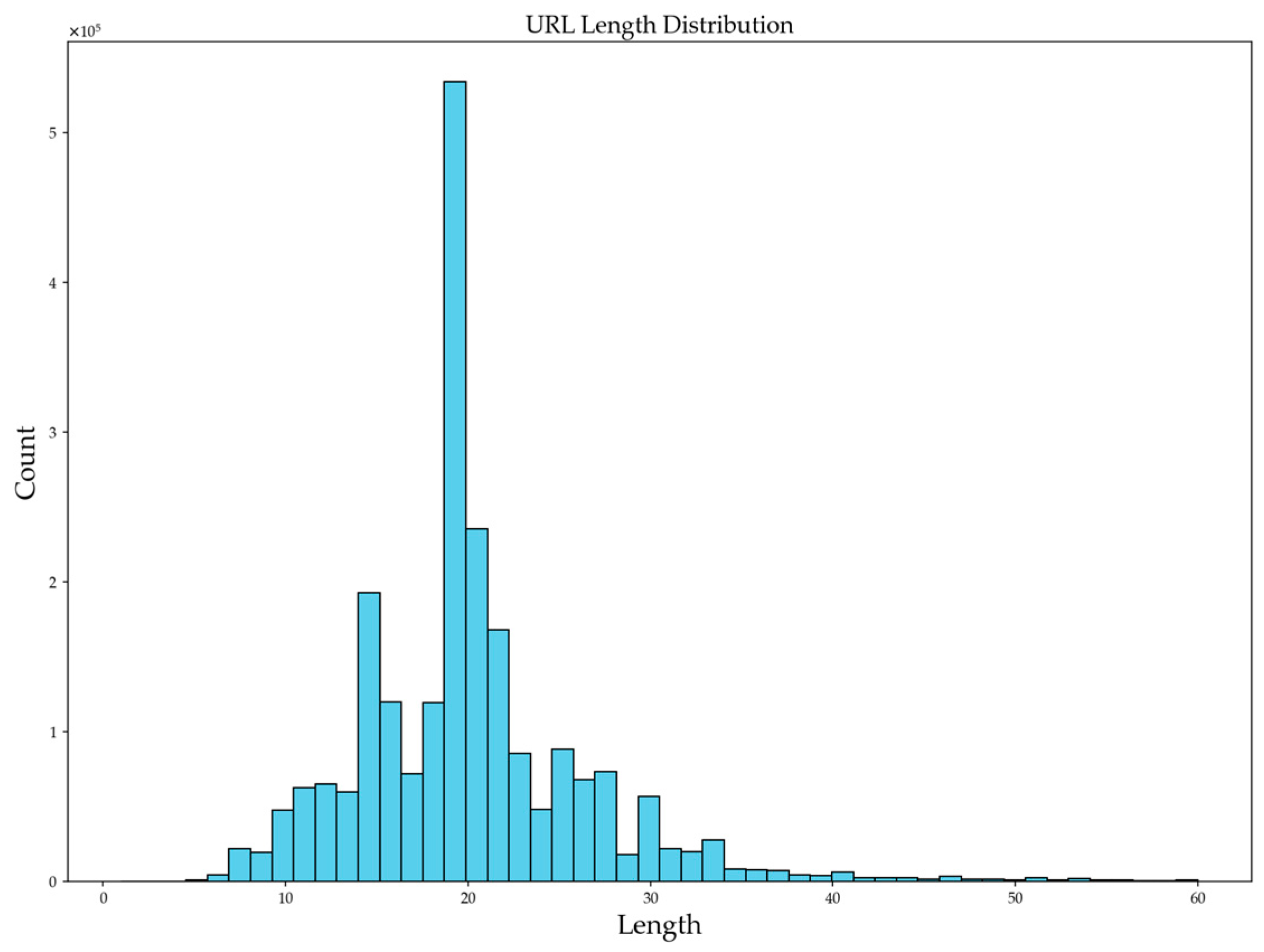DGA Domain Detection Based on Transformer and Rapid Selective Kernel Network