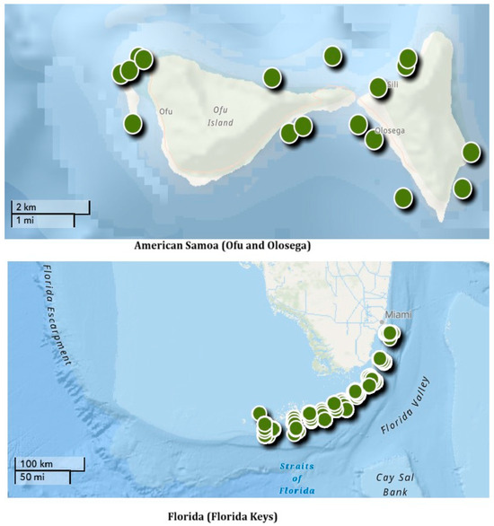 Coral Reef Surveillance with Machine Learning: A Review of Datasets ...