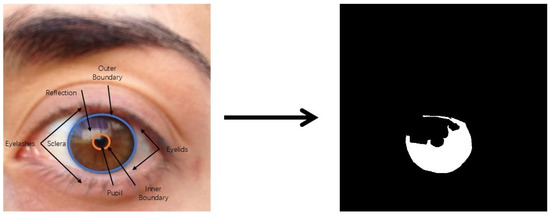 SAM-Iris: A SAM-Based Iris Segmentation Algorithm