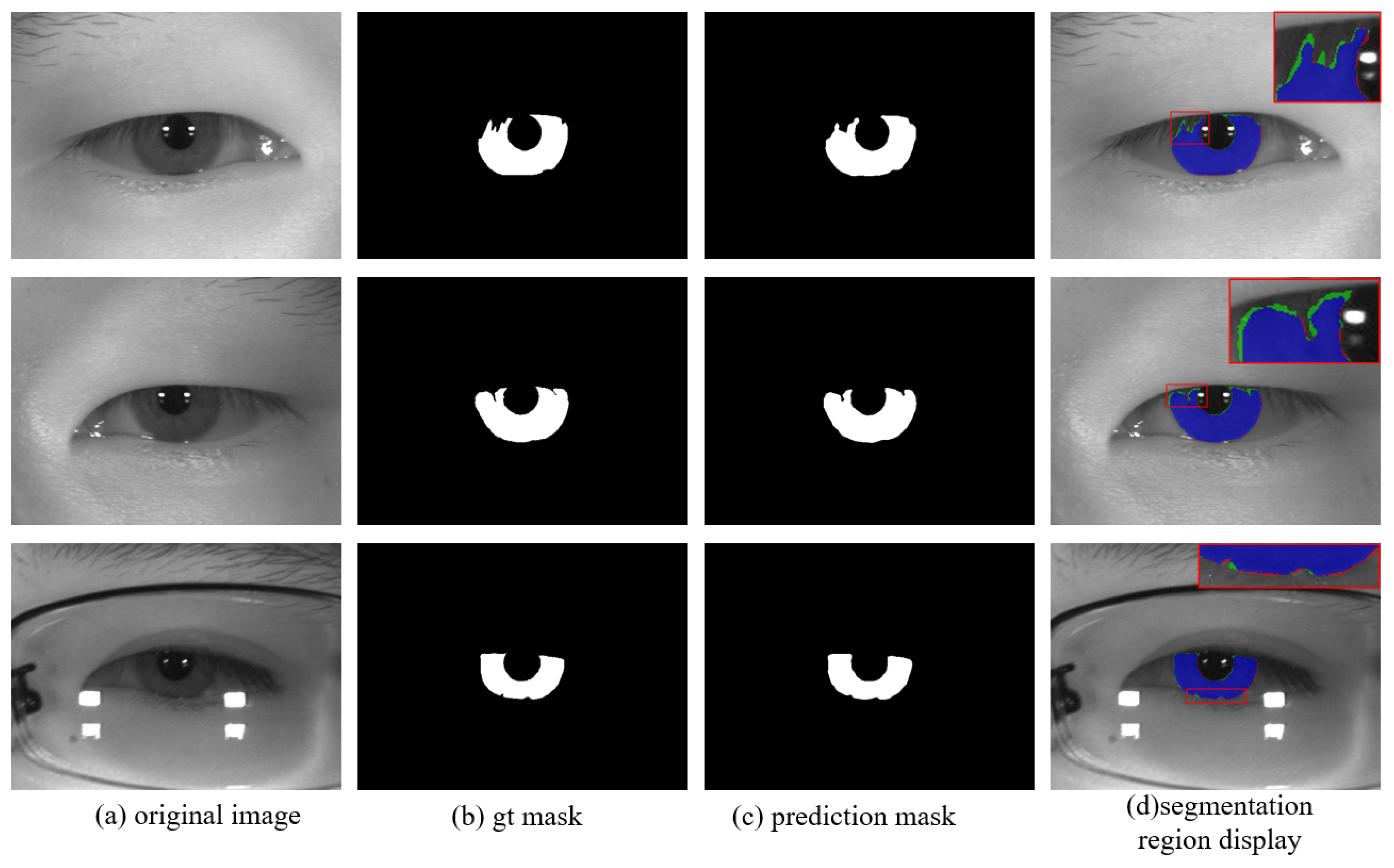 Sam Iris A Sam Based Iris Segmentation Algorithm