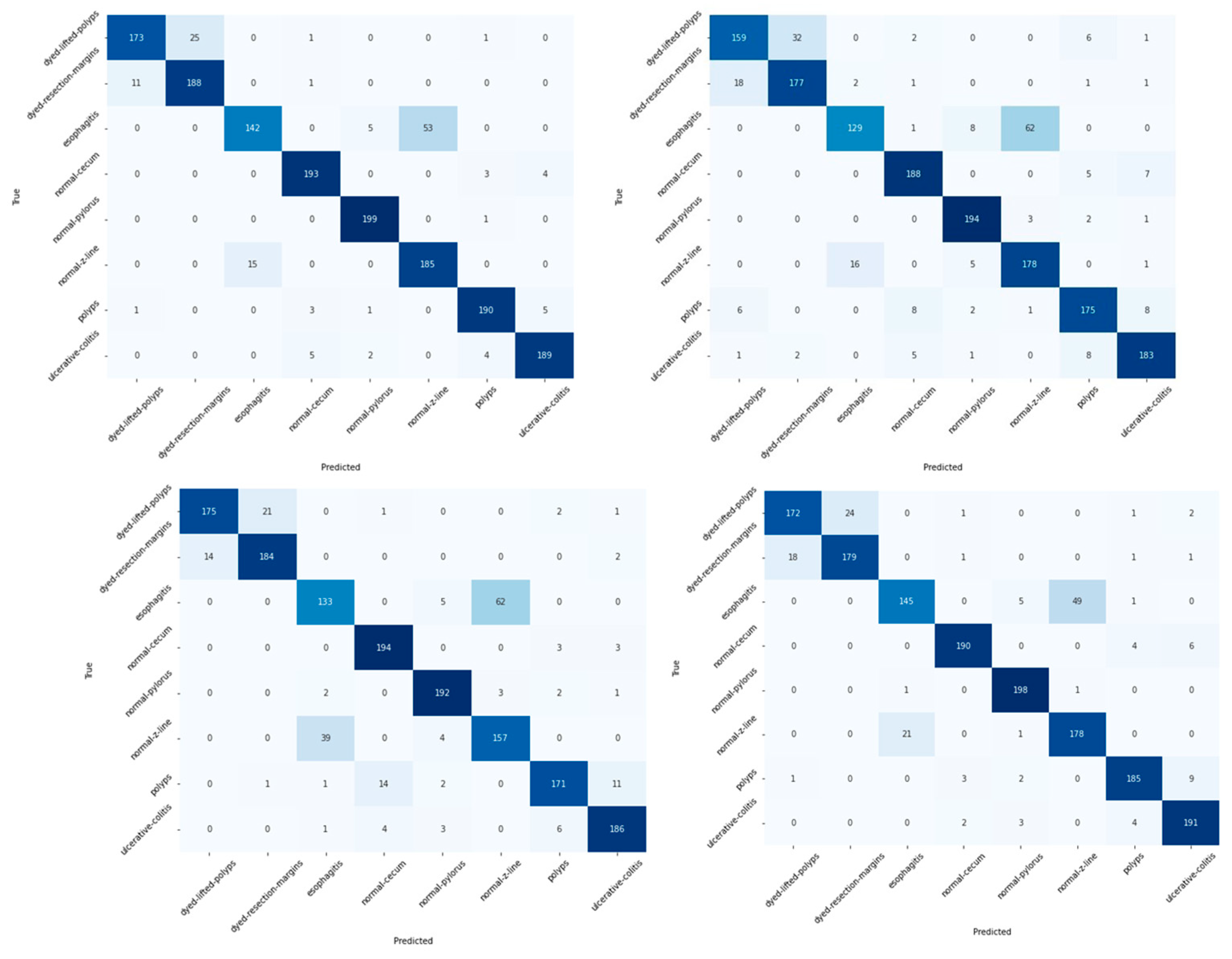 Dynamic Ensemble Learning with Gradient-Weighted Class Activation ...