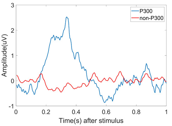 Multi-Scale Feature Extraction to Improve P300 Detection in Brain–Computer Interfaces