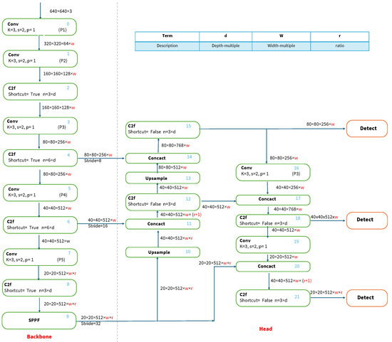 Meta-YOLOv8: Meta-Learning-Enhanced YOLOv8 for Precise Traffic Light ...