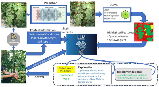 Context-Aware Tomato Leaf Disease Detection Using Deep Learning in an ...