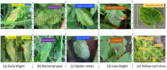 Context-Aware Tomato Leaf Disease Detection Using Deep Learning in an ...