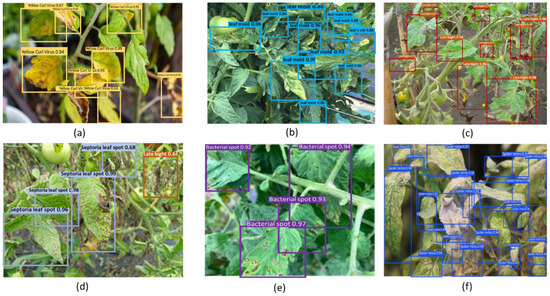 Context-Aware Tomato Leaf Disease Detection Using Deep Learning in an ...