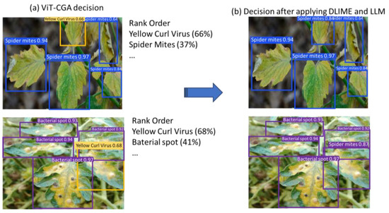 Context-Aware Tomato Leaf Disease Detection Using Deep Learning in an ...
