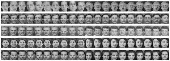 Tensor-Based Uniform and Discrete Multi-View Projection Clustering
