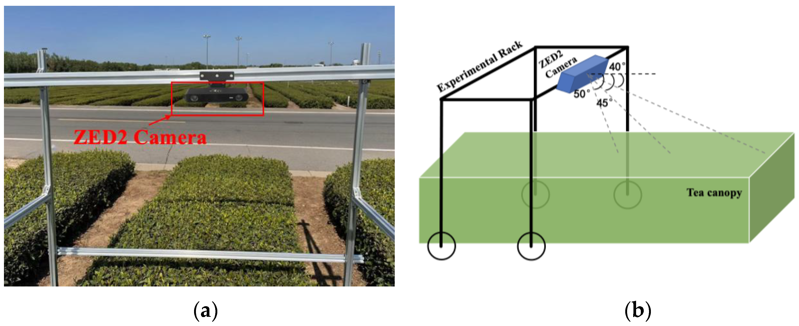 Tea Harvest Robot Navigation Path Generation Algorithm Based on Semantic Segmentation Using a ...