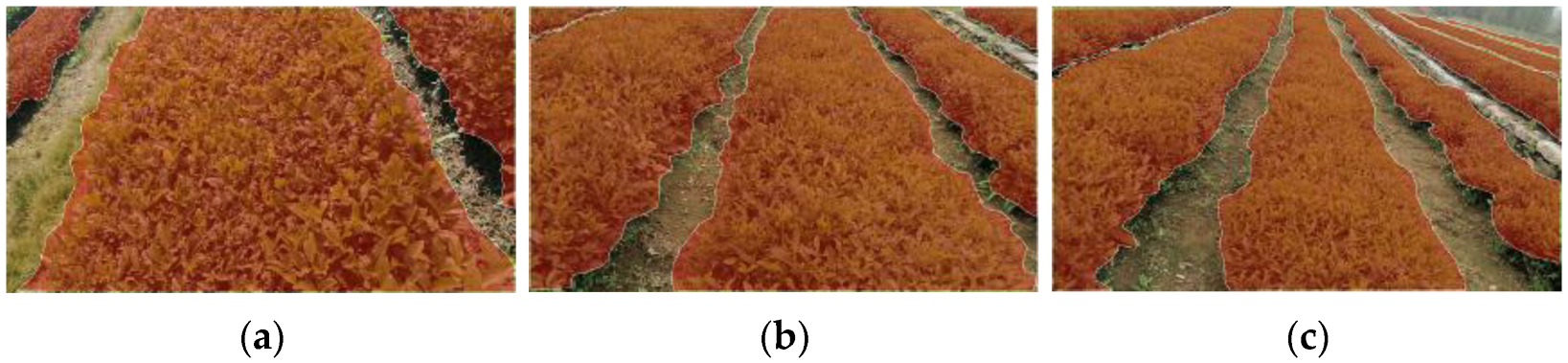 Tea Harvest Robot Navigation Path Generation Algorithm Based on Semantic Segmentation Using a ...
